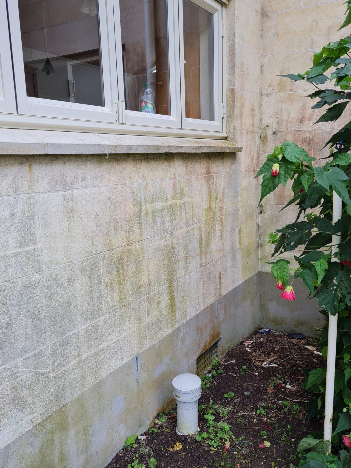 How to preserve the timeless beauty of Oamaru Stone - Oamaru Stone
